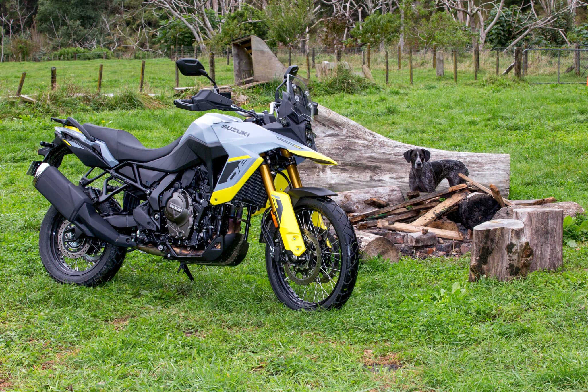Suzuki V-Strom 800DE Review - Bike Rider Magazine