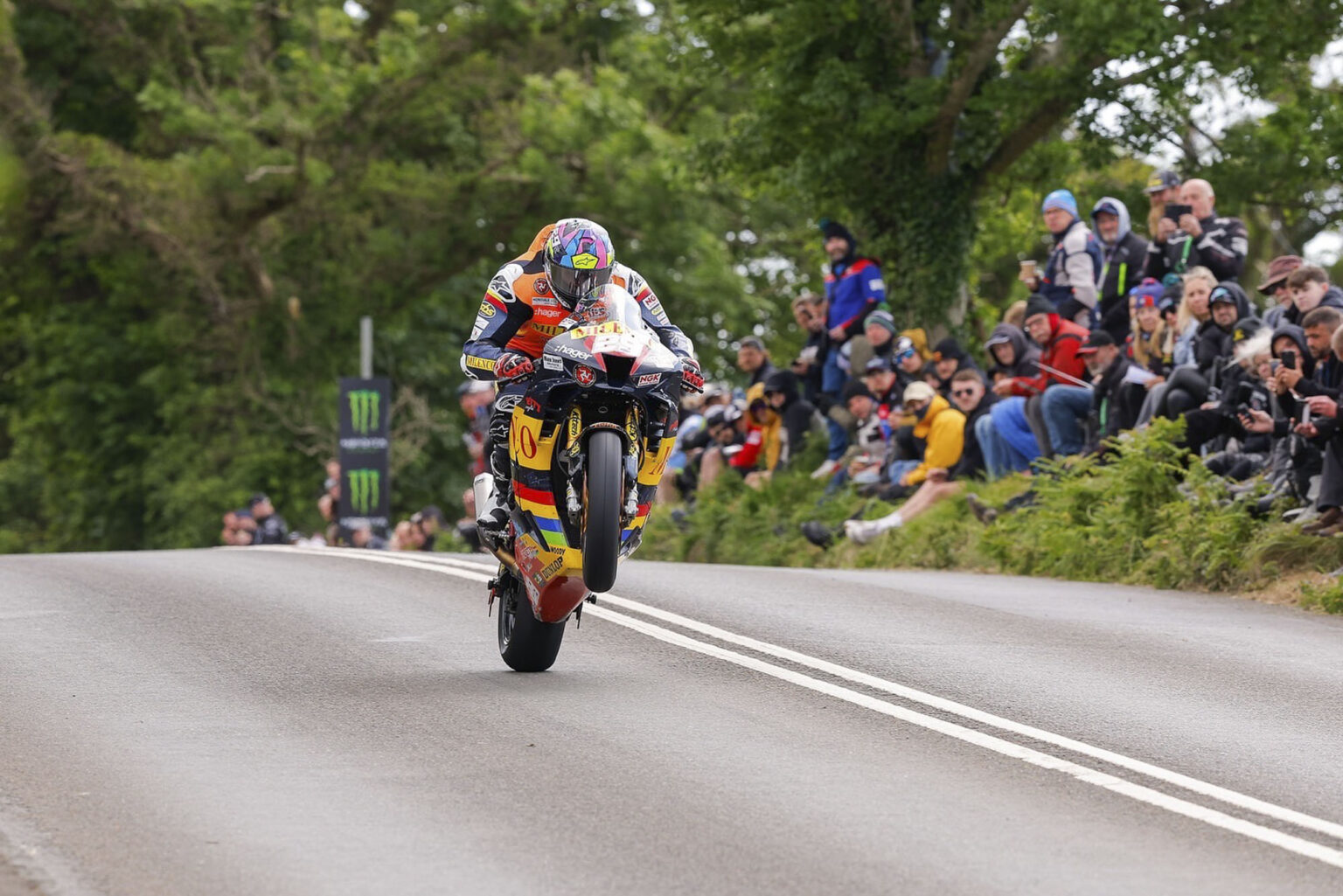 From Whakatane to the World Stage: Mitch Rees Reflects on TT ...